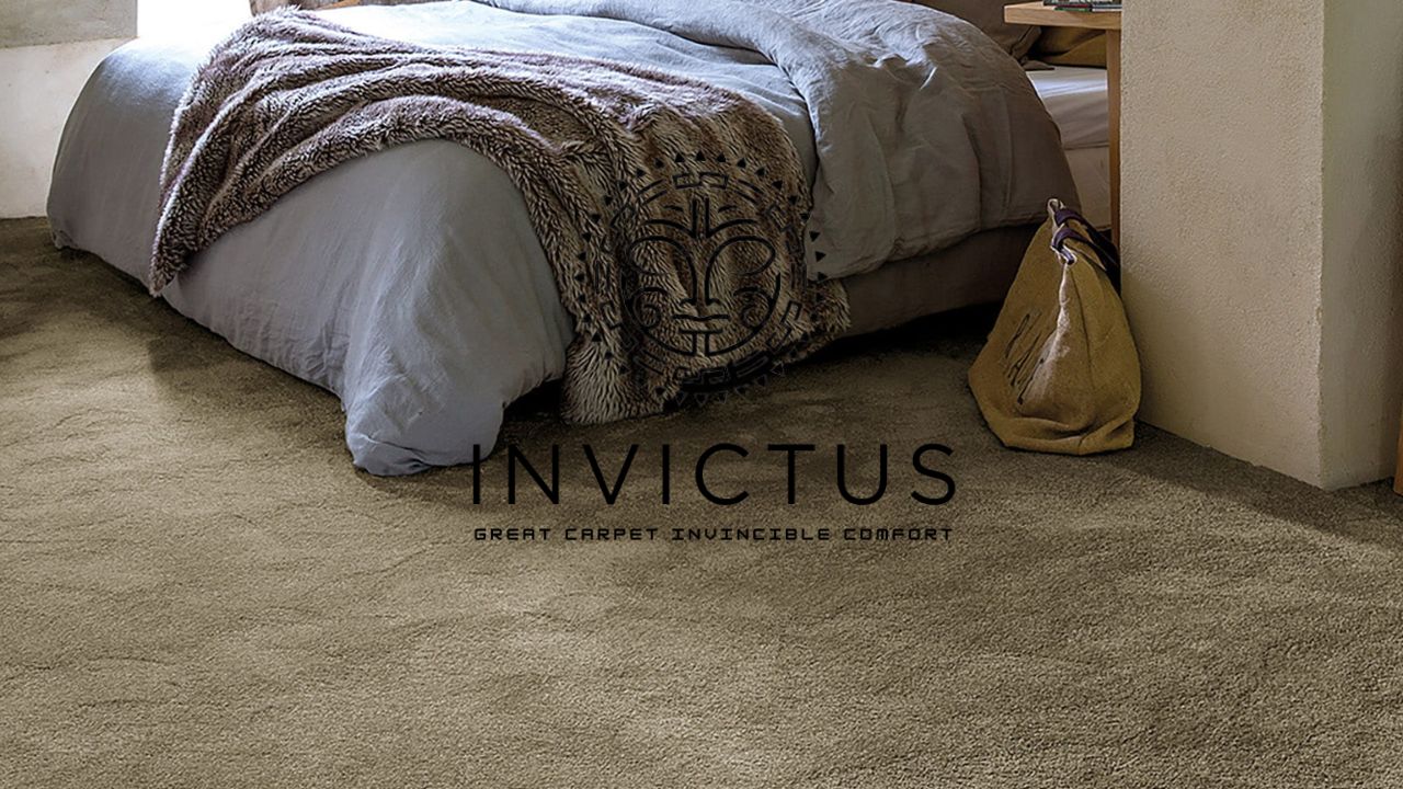 Buy Invictus Carpets | Stain Resistant Carpet | Surefit Carpets